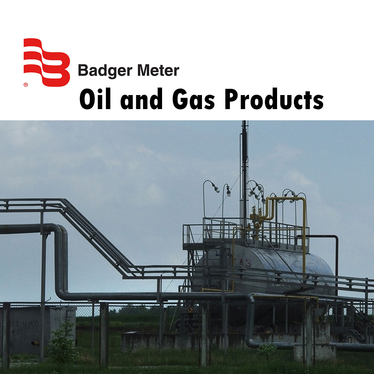 Badger Meter Oil and Gas Products - Central California Instruments
